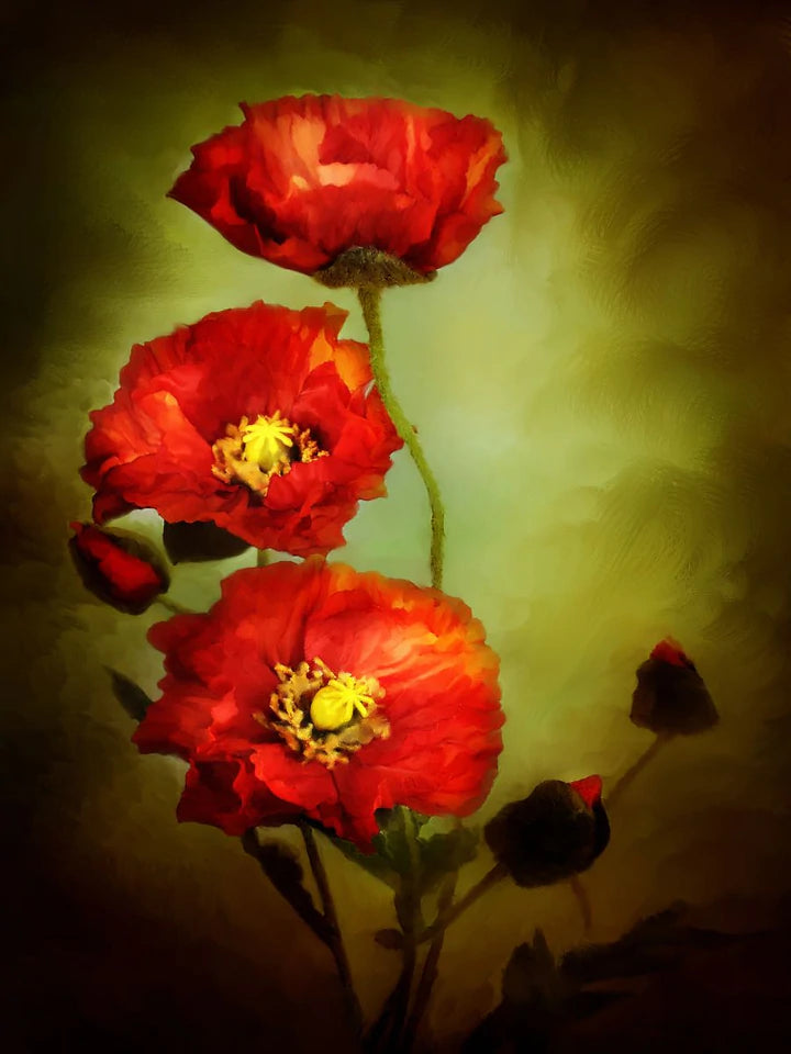 Blume Malen Nach Zahlen Diy Handgemalt Kit Für Anfänger Erwachsene Anf – SaraMond